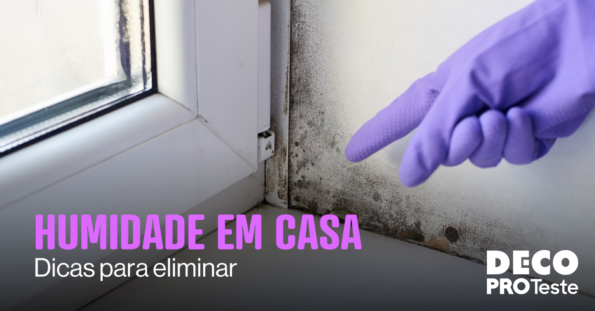 Como acabar com a humidade em casa | DECO PROteste