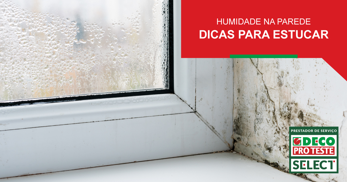 Como tratar uma parede com humidade | DECO PROTESTE