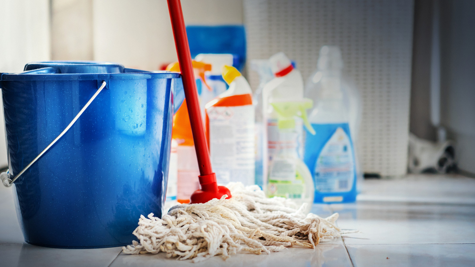 Por que escolher o Rótulo Ecológico Europeu nos produtos de limpeza