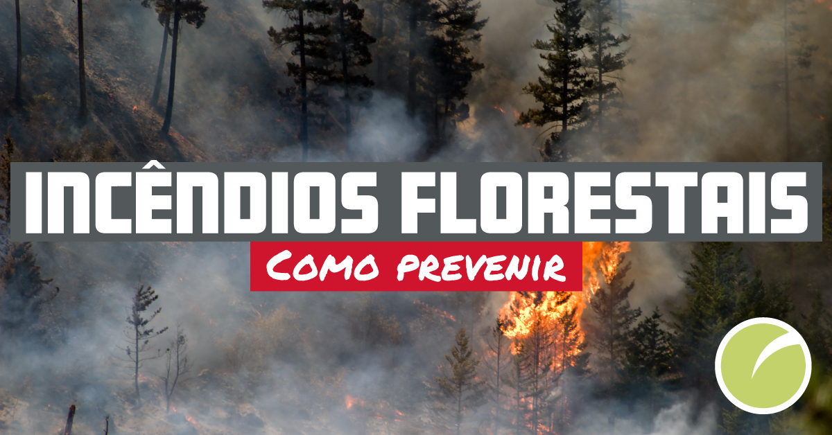 Incêndios Florestais em Portugal: prevenção | DECO PROteste