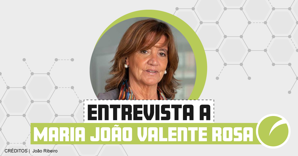 Envelhecimento ativo: entrevista a Maria João Valente Rosa