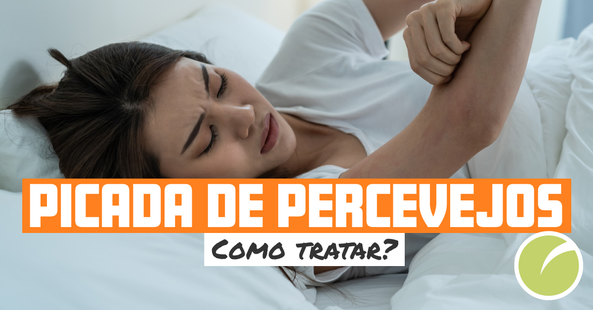 Percevejos: picada, sintomas e tratamento | DECO PROTESTE