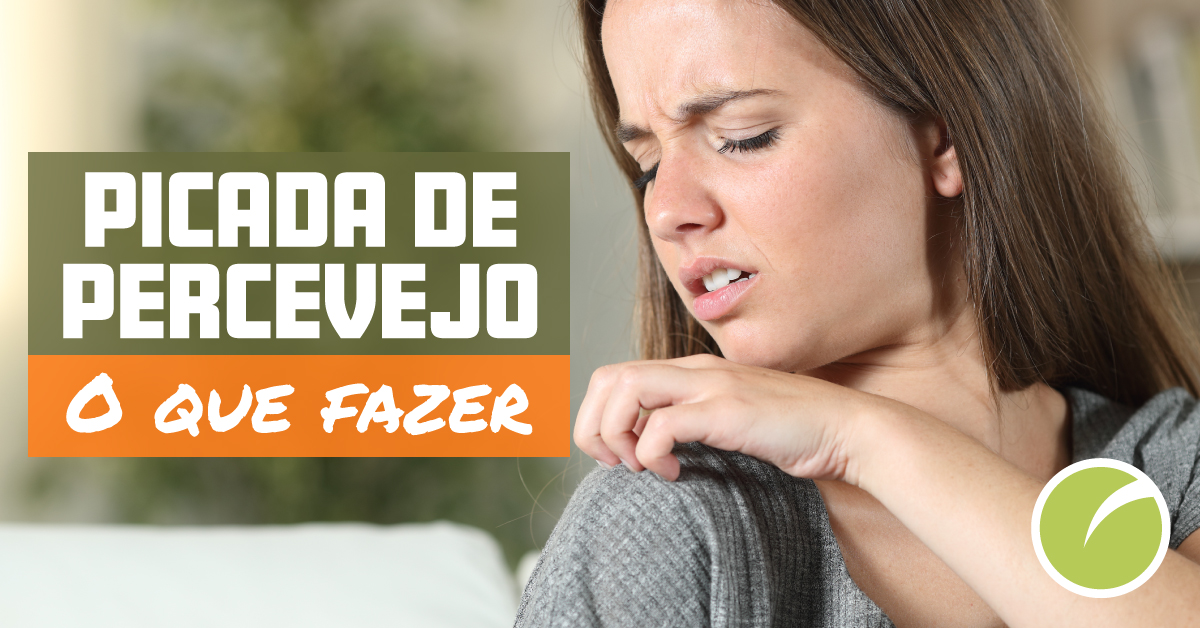 Percevejos: picada, sintomas e tratamento | DECO PROTESTE