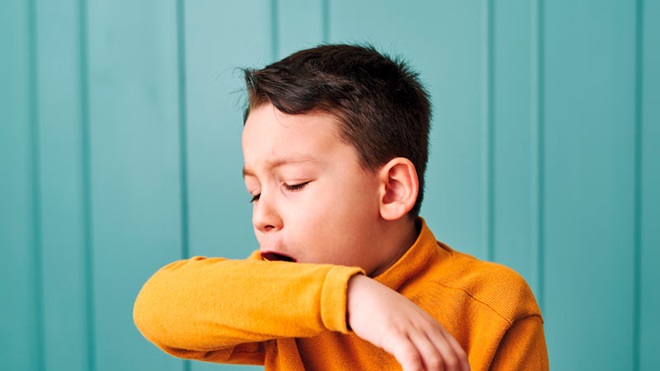 Tosse convulsa: sintomas e tratamento | DECO PROteste