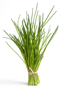 Ervas aromáticas: guia para plantar e usar | DECO PROteste